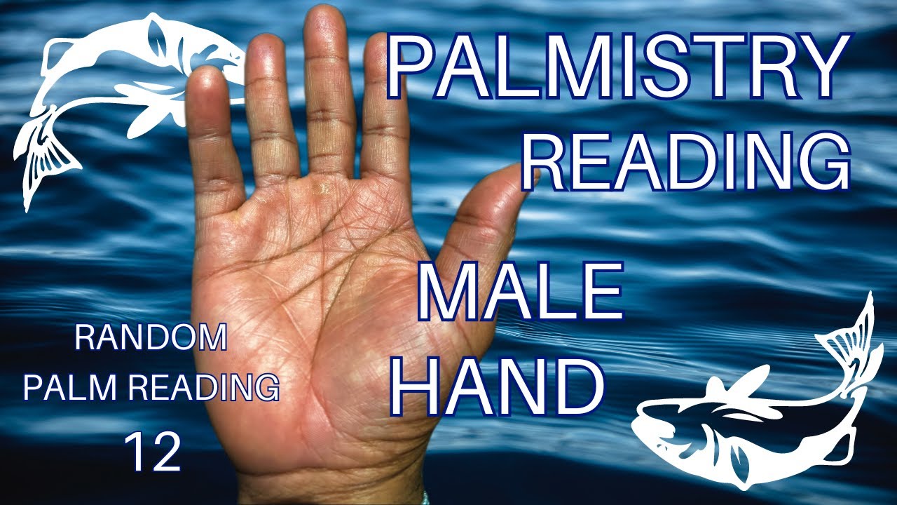RANDOM PALM READING 12: PALMISTRY READING MALE HAND - YouTube