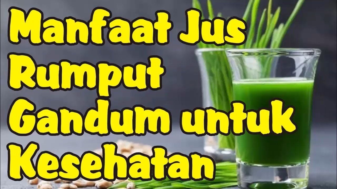Manfaat Jus Rumput Gandum untuk Kesehatan - YouTube