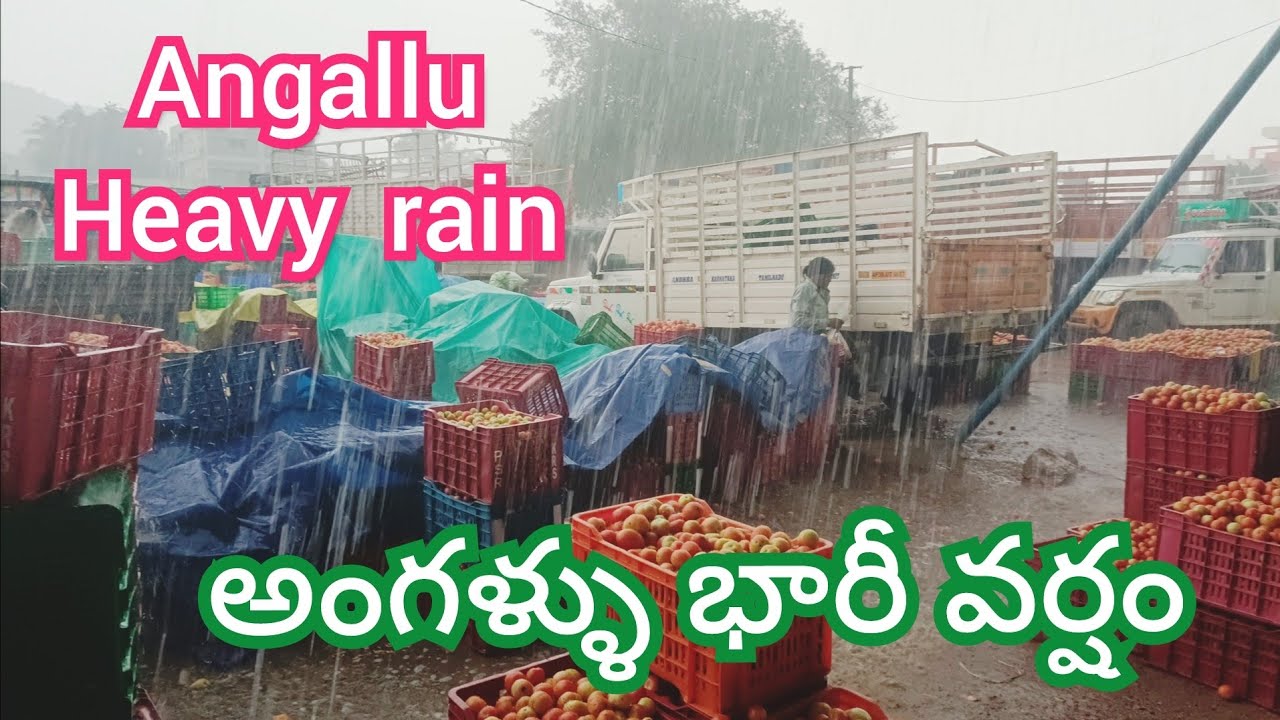 October 2, 2024అంగళ్ళు భారీ వర్షం #heavyrain in angallu ...