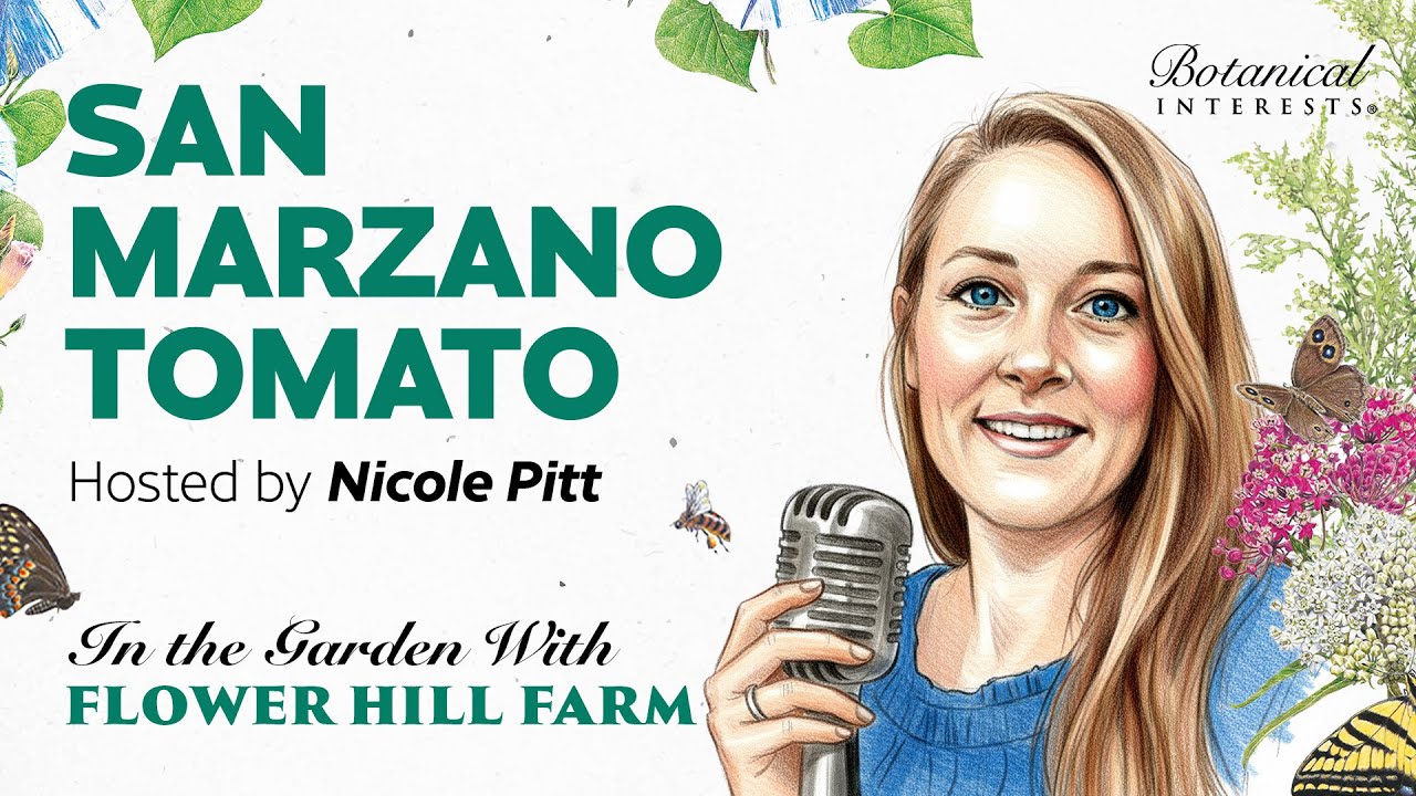 In the Garden | San Marzano Tomatoes - YouTube