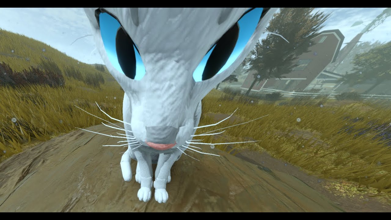 Making canon Warrior Cats characters || WCUE - YouTube