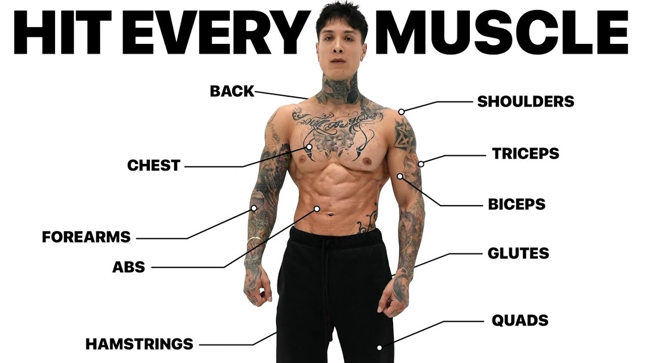 Hit EVERY Muscle In Just 7 MINUTES (Follow Along) - YouTube