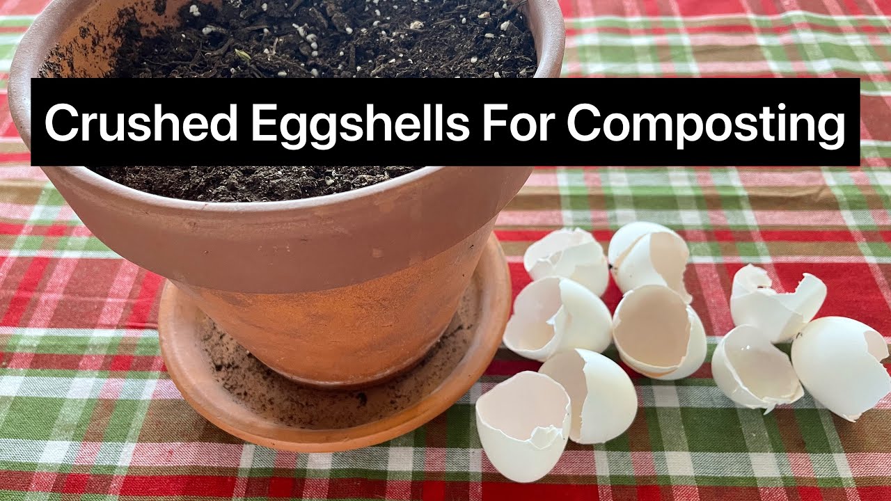 Crushed Eggshells For Composting - YouTube
