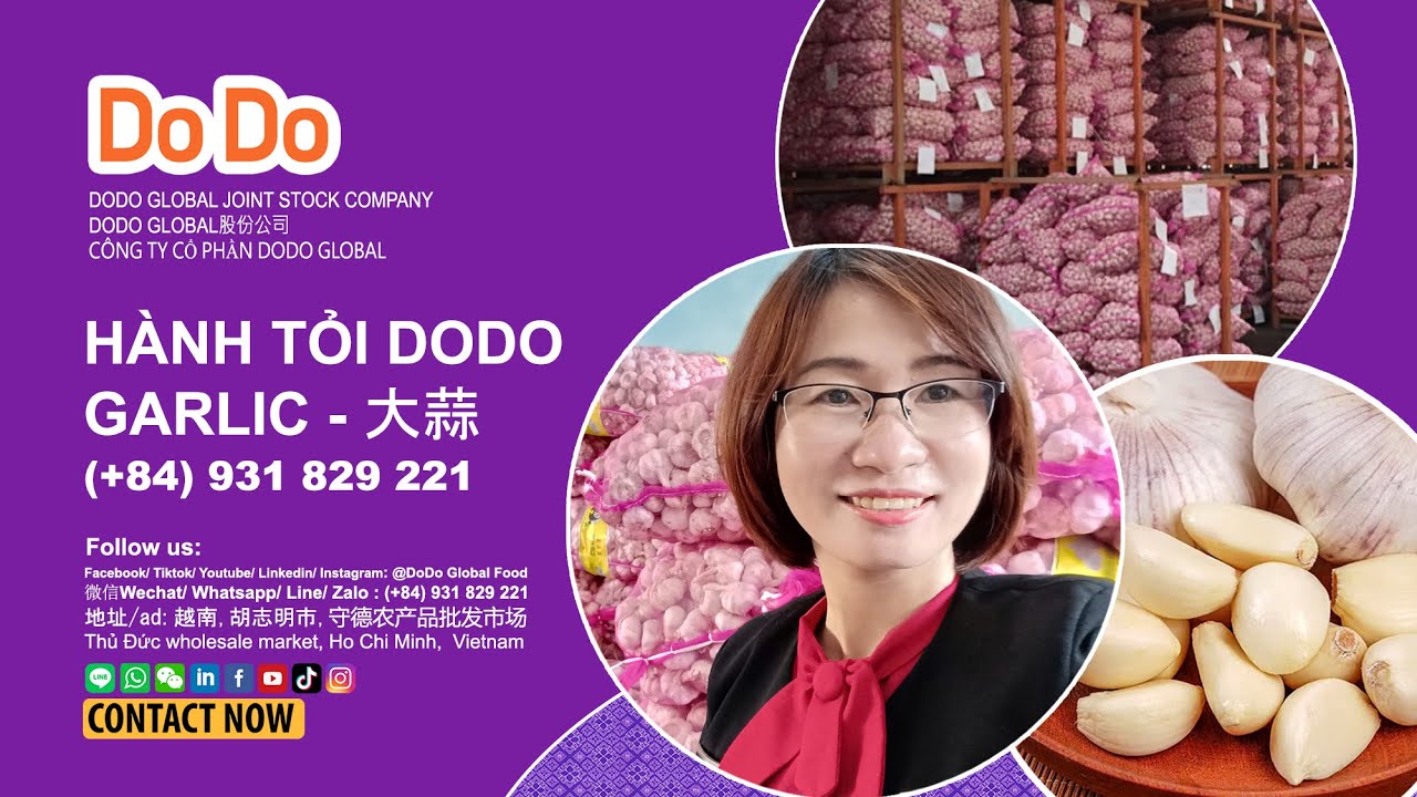 DODO garlic - Tỏi DODO- HÀNH TỎI DODO - 守德农产品批发市场 - YouTube