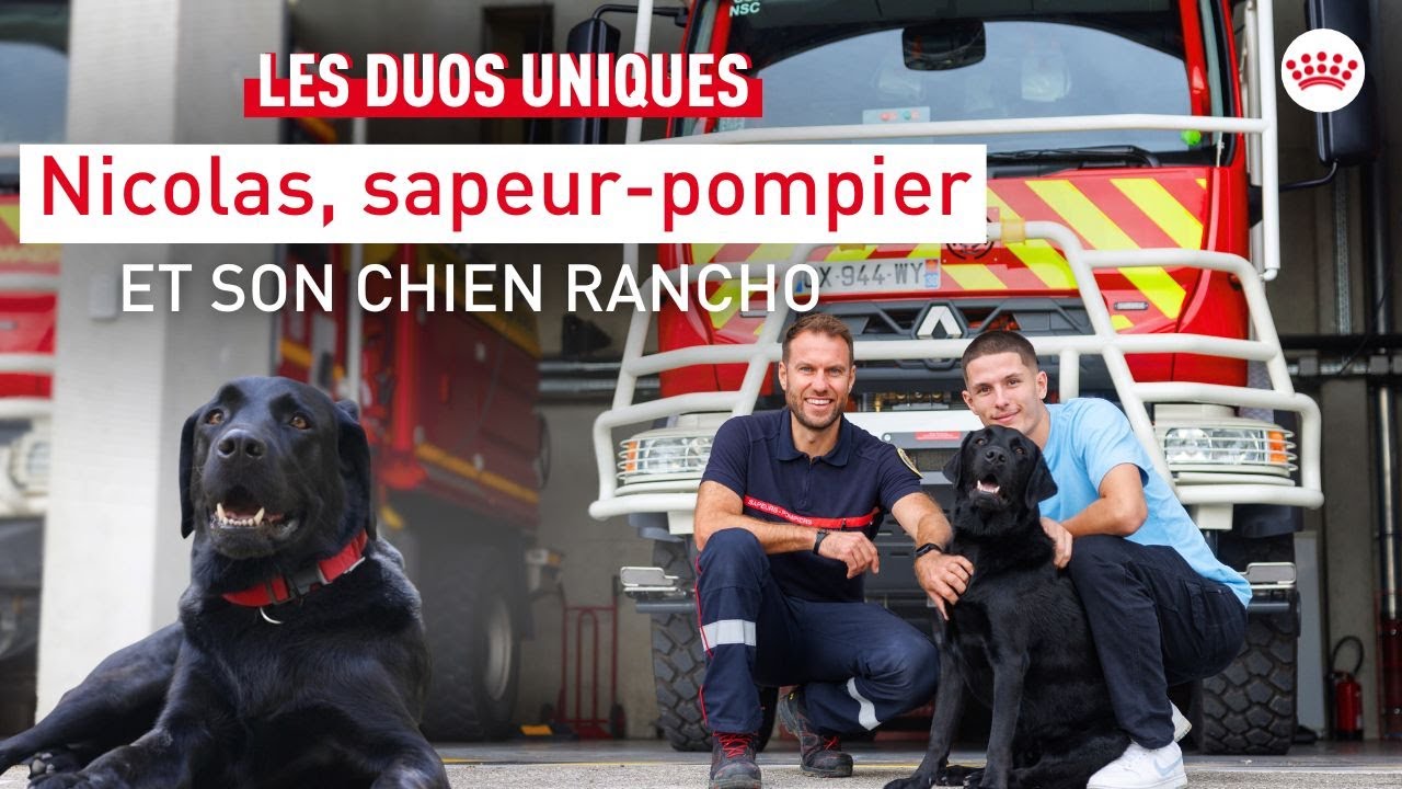 NICOLAS, SAPEUR POMPIER, ET SON CHIEN, AIDENT LES VICTIMES À LIBÉRER ...