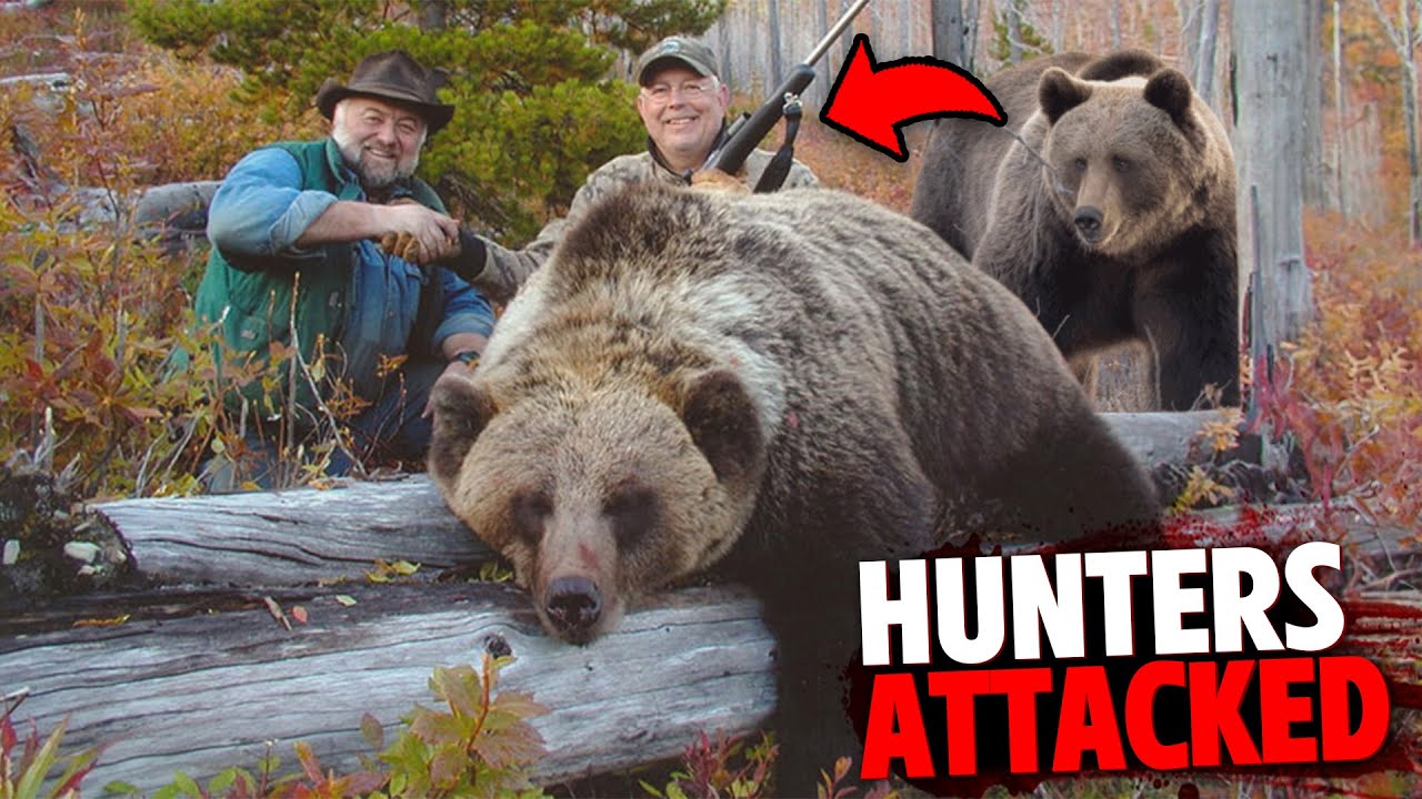 This Grizzly Bear Took REVENGE on Two Cruel Hunters! - YouTube