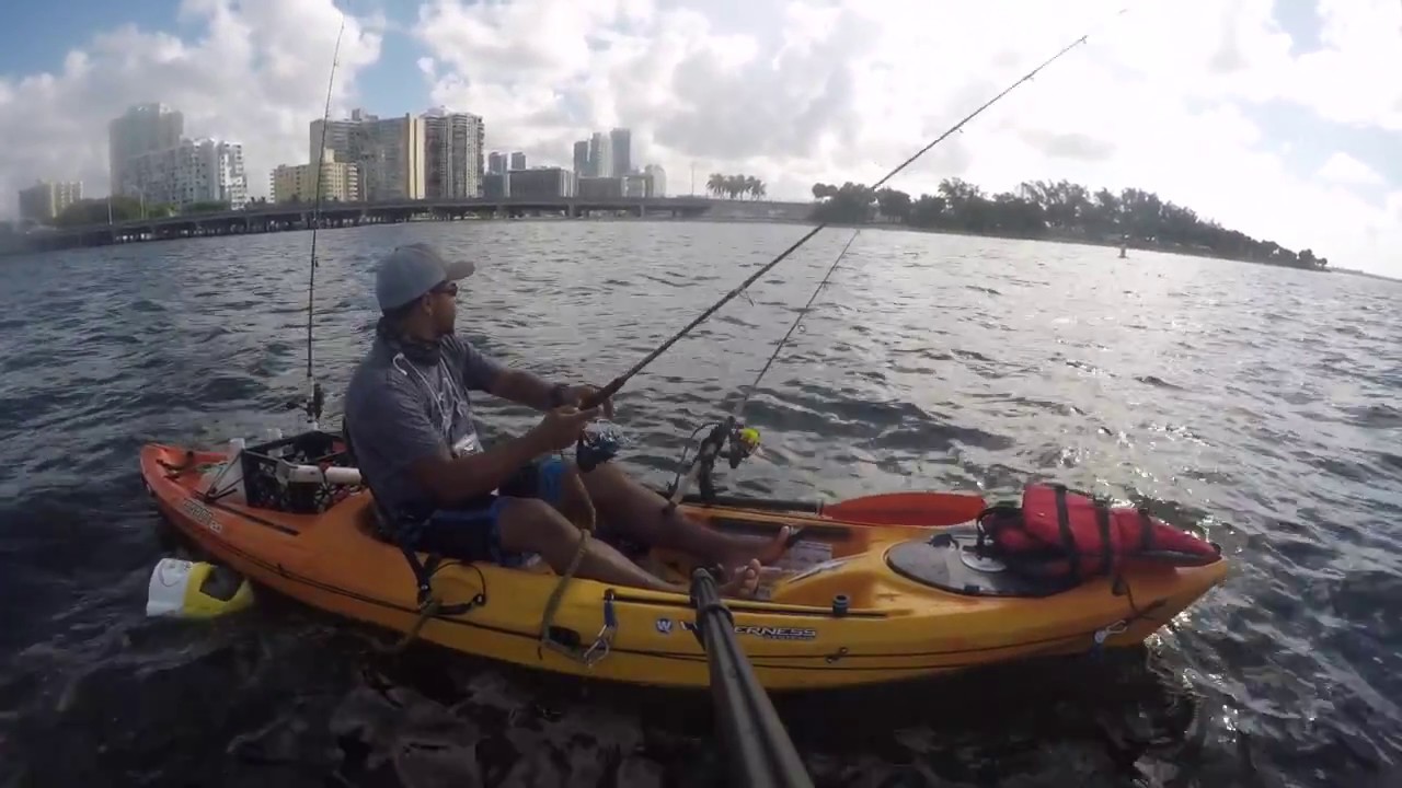 Fishing in Key Biscayne - YouTube