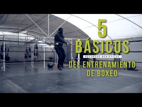 5 Básicos imperdibles para entrenar boxeo - YouTube