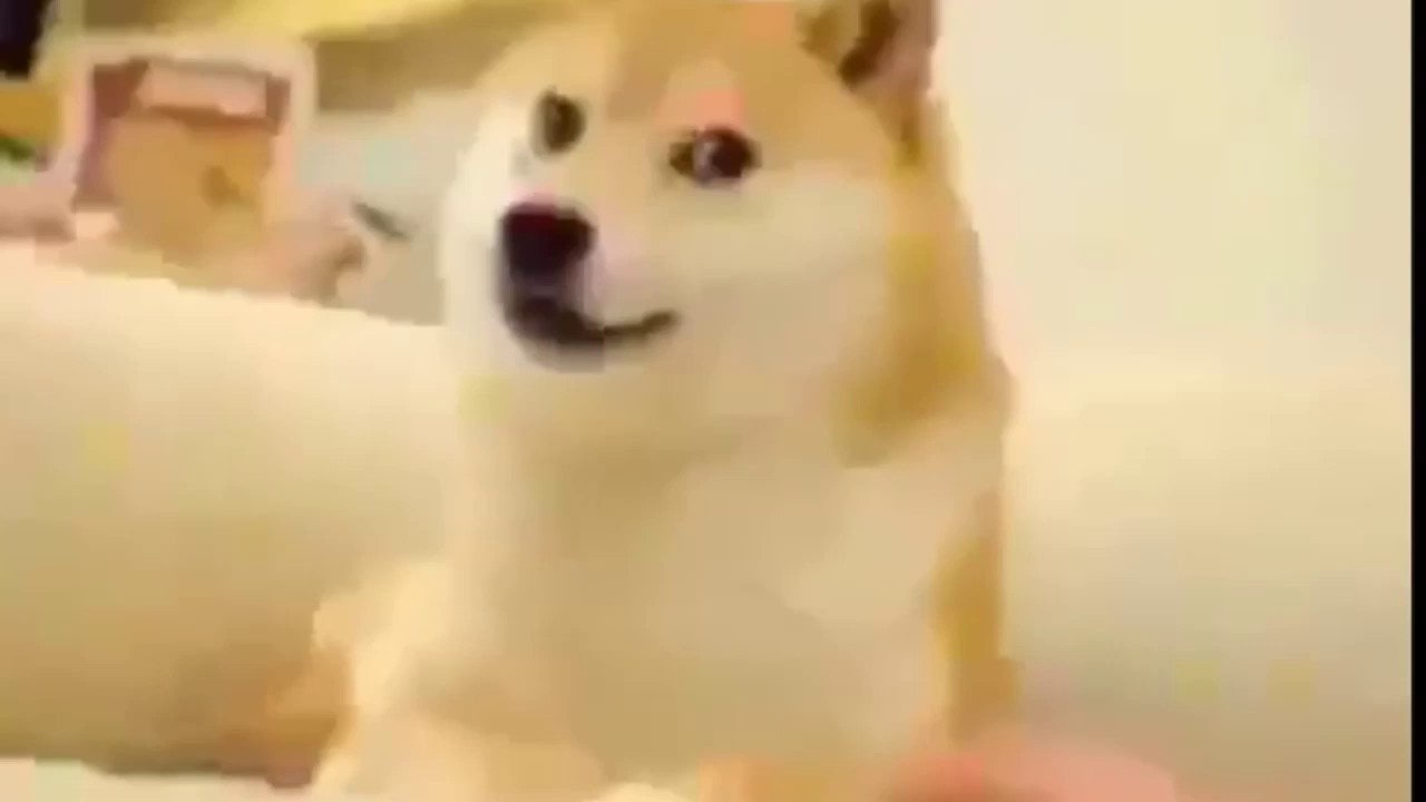 Doge.exe has been corrupted - YouTube