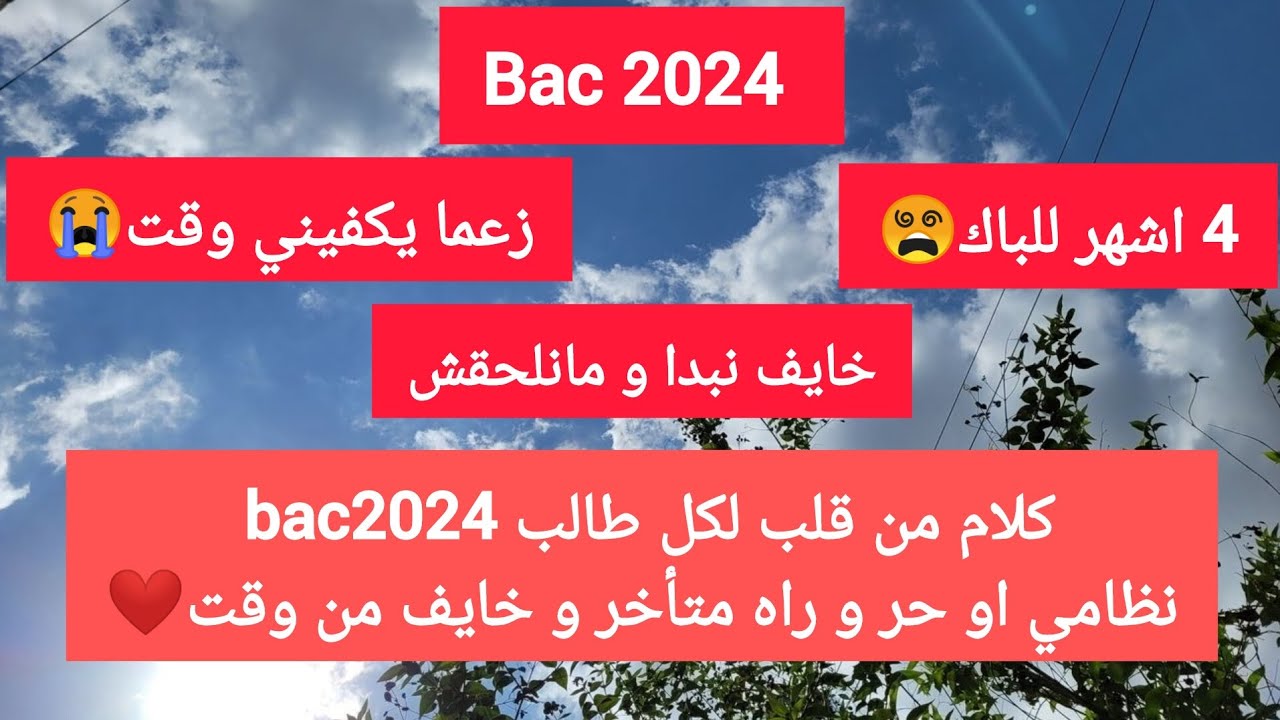 رسالة من قلب 😍لكل طالب bac2024 نظامي او حر💕 و راه متأخر او حتى مابداش و خايف من وقت😭‼️|bac2024 ...
