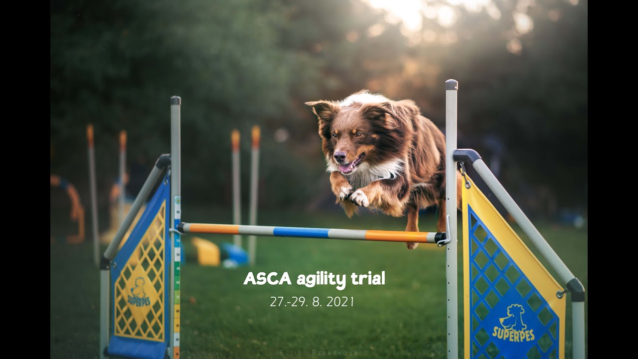 Speedy ~ ASCA agility trial (27.-29.8.2021) - YouTube
