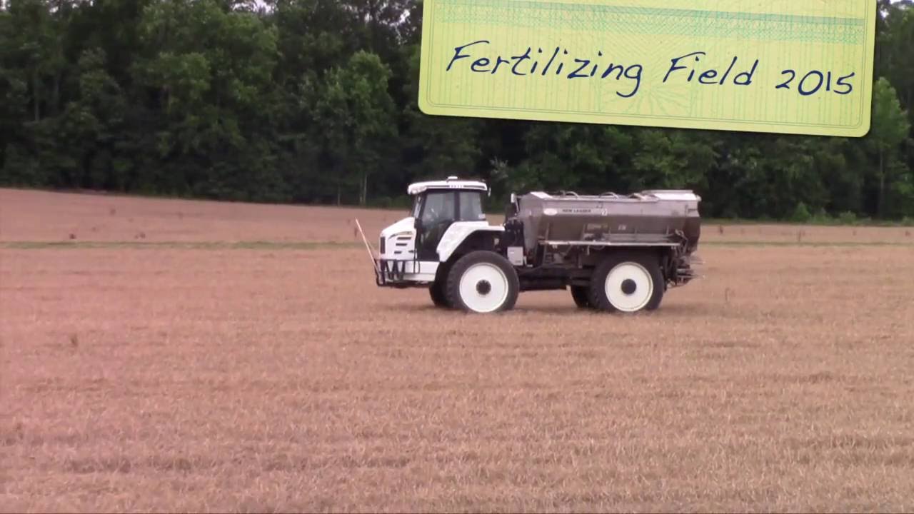 Hemp, Inc. Review of Kenaf Crop Harvest and Planting - YouTube