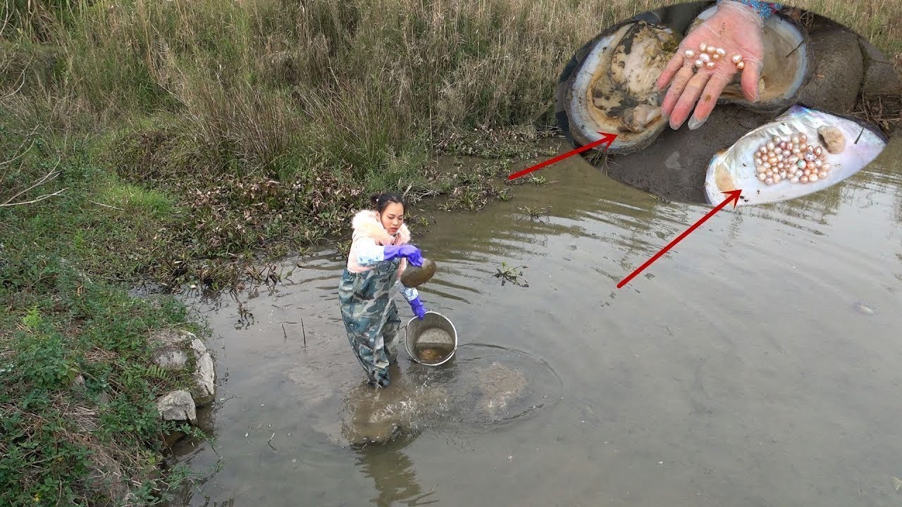 O céu aberto, as pérolas, o lago de lama lamacenta sfound a lontra ...