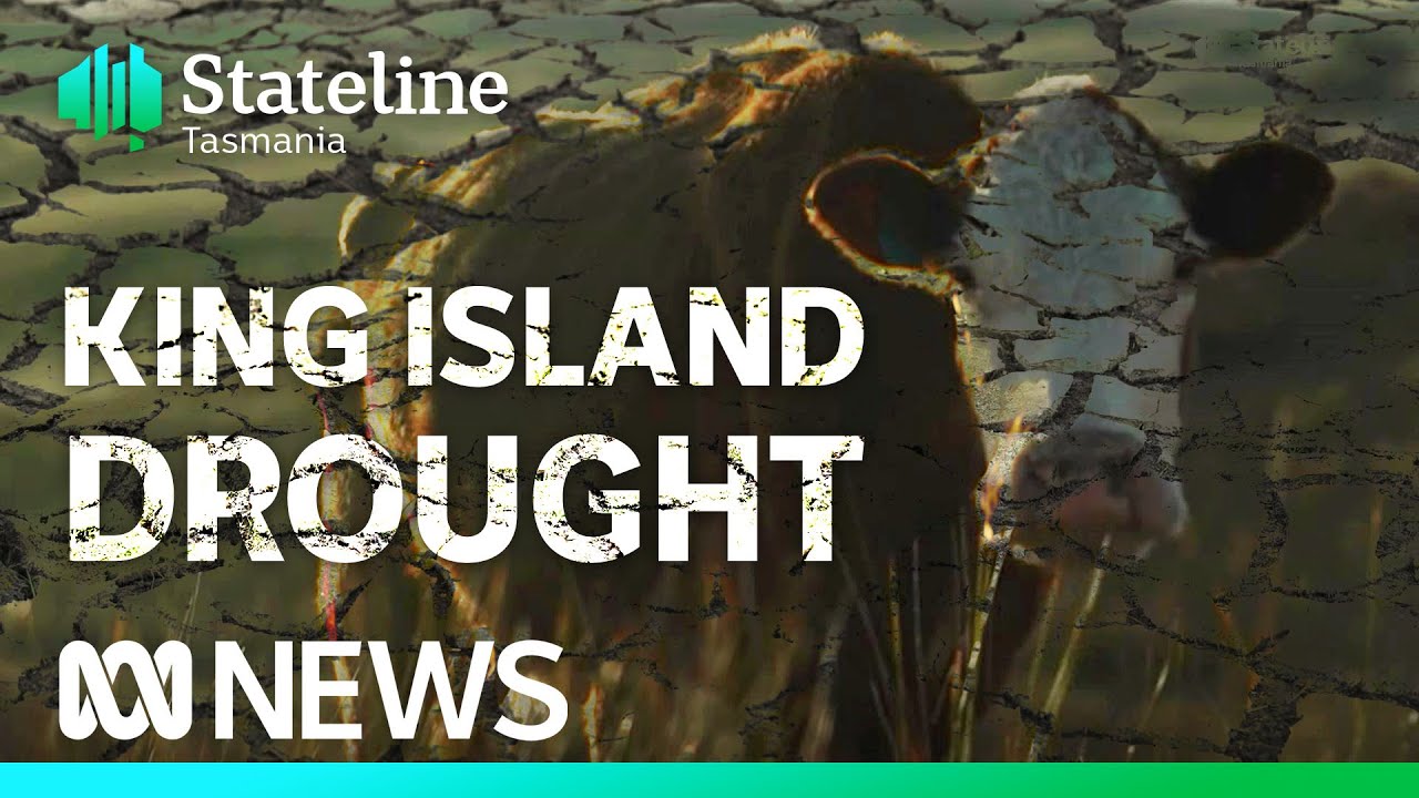 Farmers on remote island grapple with worst drought on record | ABC ...