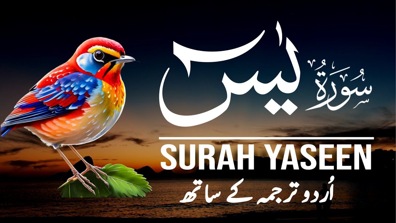 Surah Yasin (Yaseen) | Surah Yaseen With Urdu Translation | Episode 105 ...