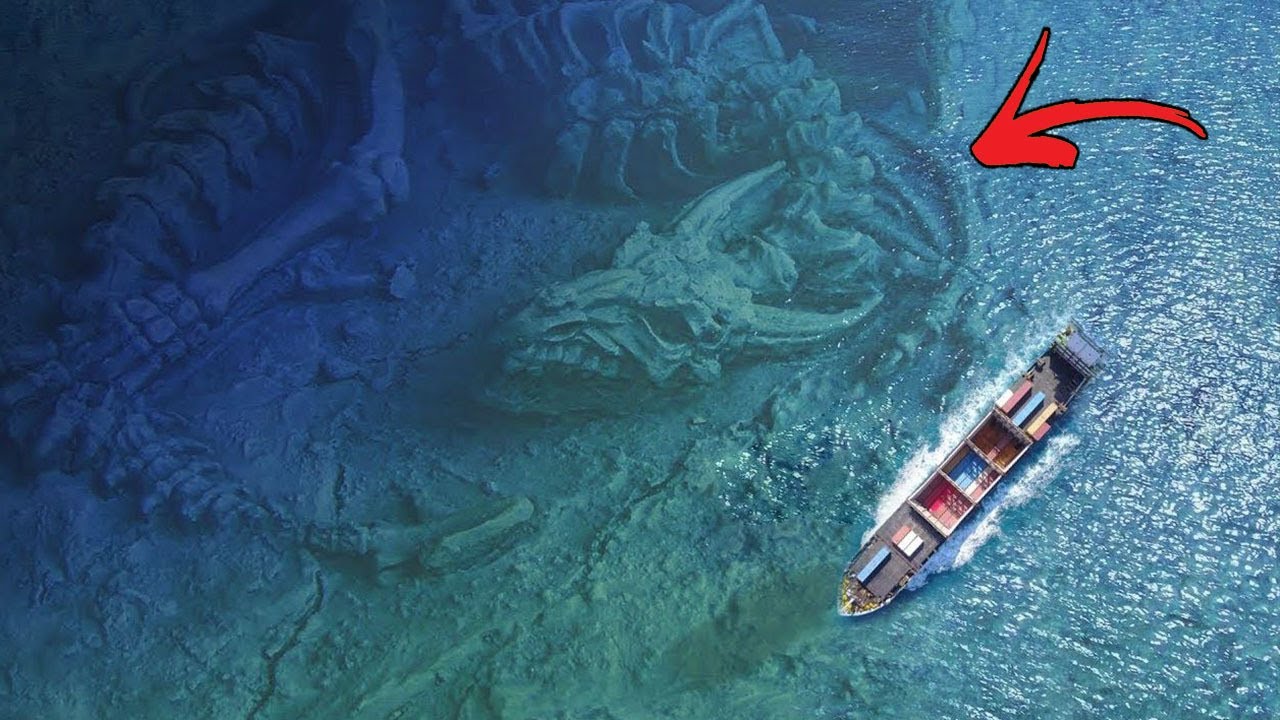 Top 5 Unsettling Ocean Encounters Scarier Than The Meg 2 - YouTube