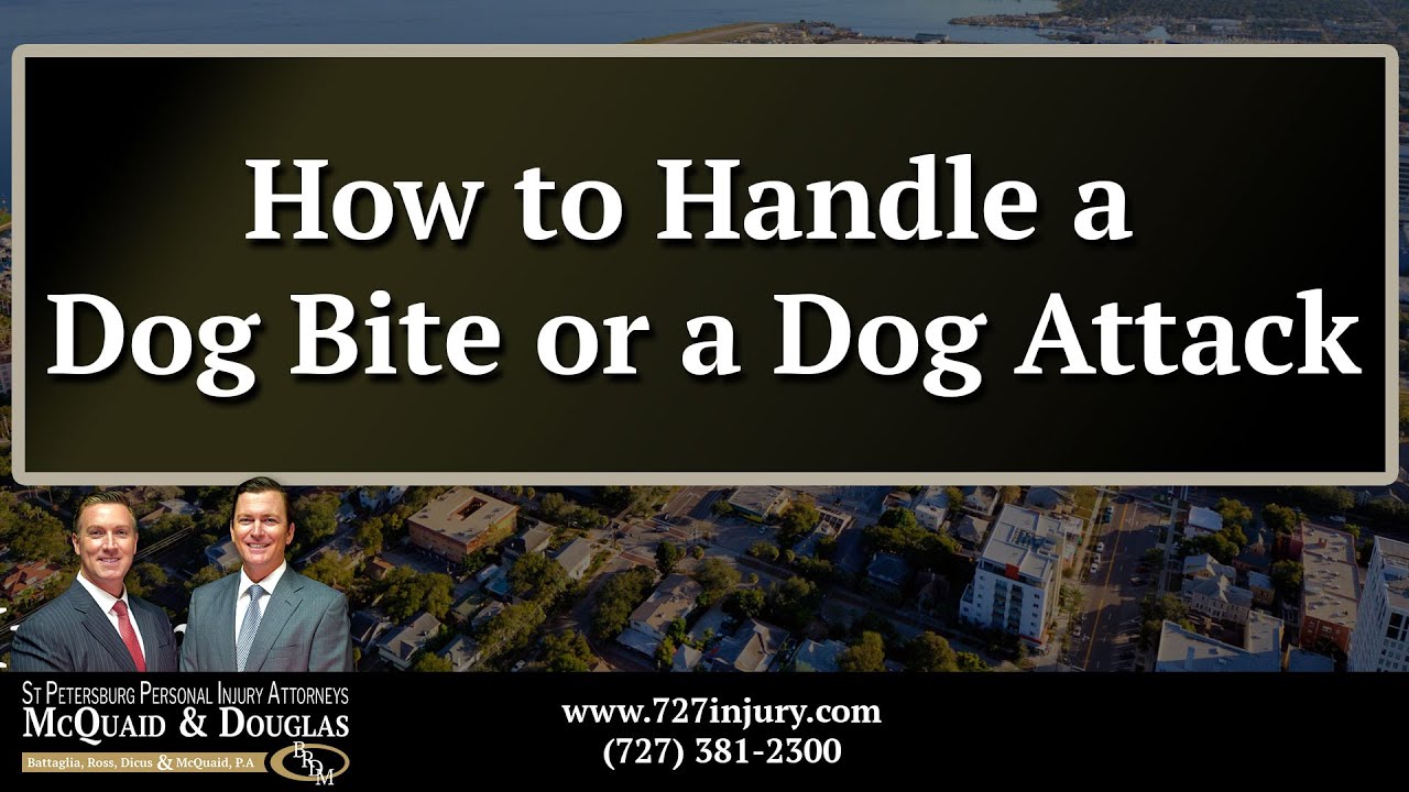 How to Handle a Dog Bite or a Dog Attack - YouTube