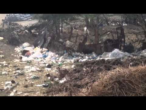 Ağköynək kəndini zibil basıb