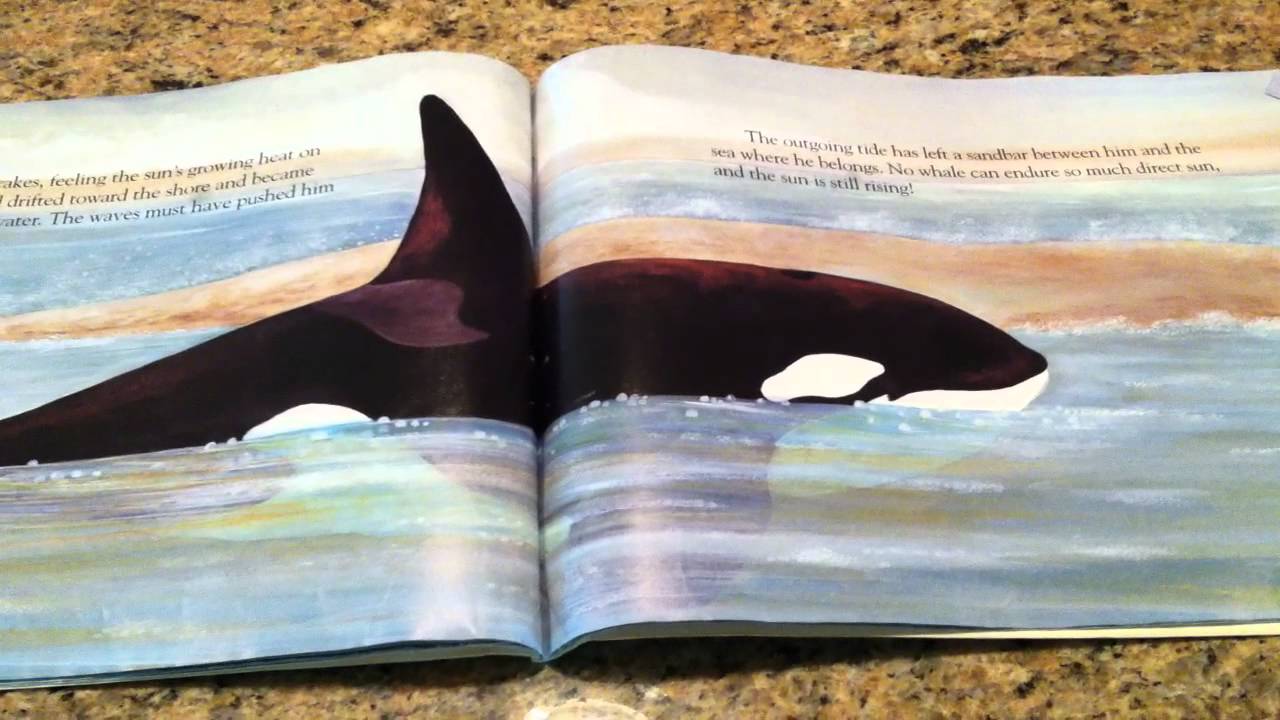 Orca Song - YouTube