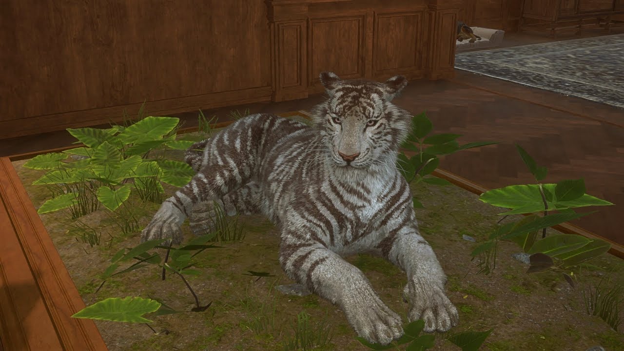 SUPER RARE TIGER AND DIAMOND YAK LIVE!!! theHunter Call of the Wild ...
