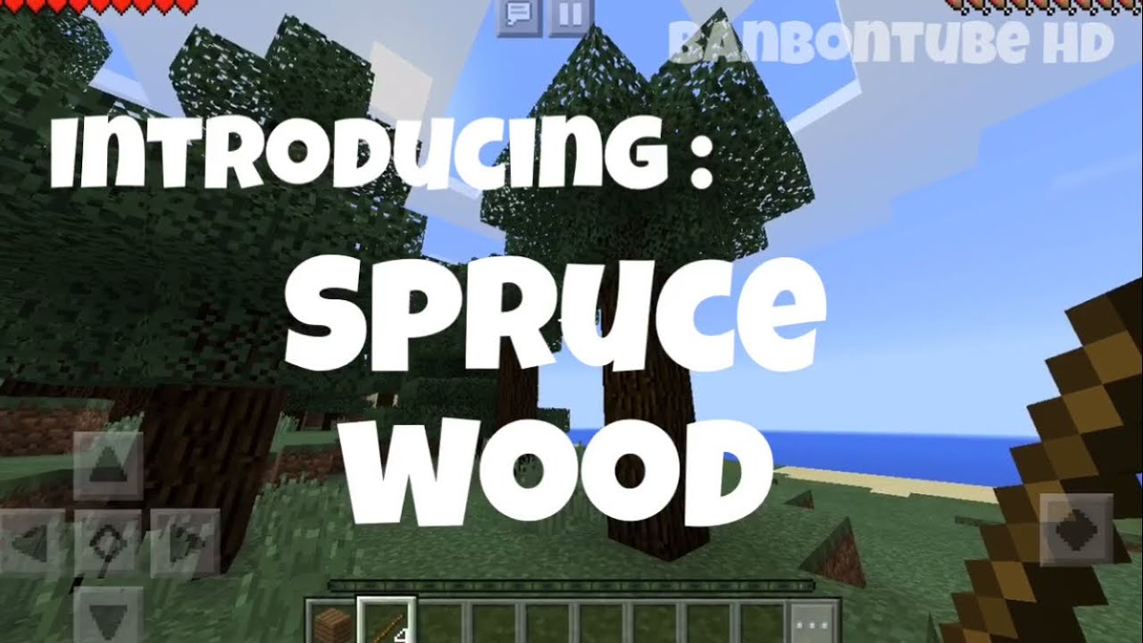 INTRODUCING: SPRUCE WOOD - Minecraft - YouTube