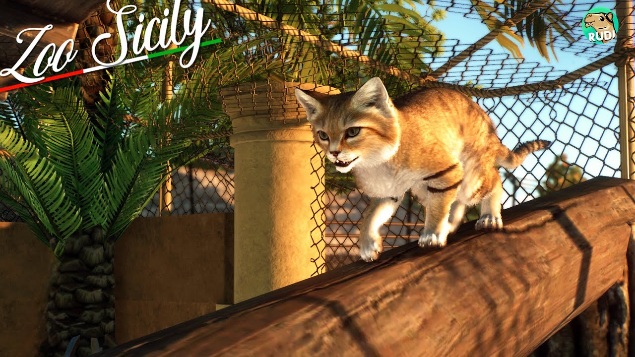 CUTEST Sand Cat Habitat - Zoo Sicily Planet Zoo - YouTube