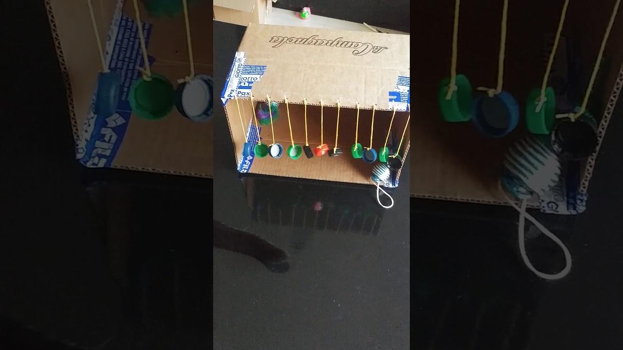 Gatuni con su caja - YouTube