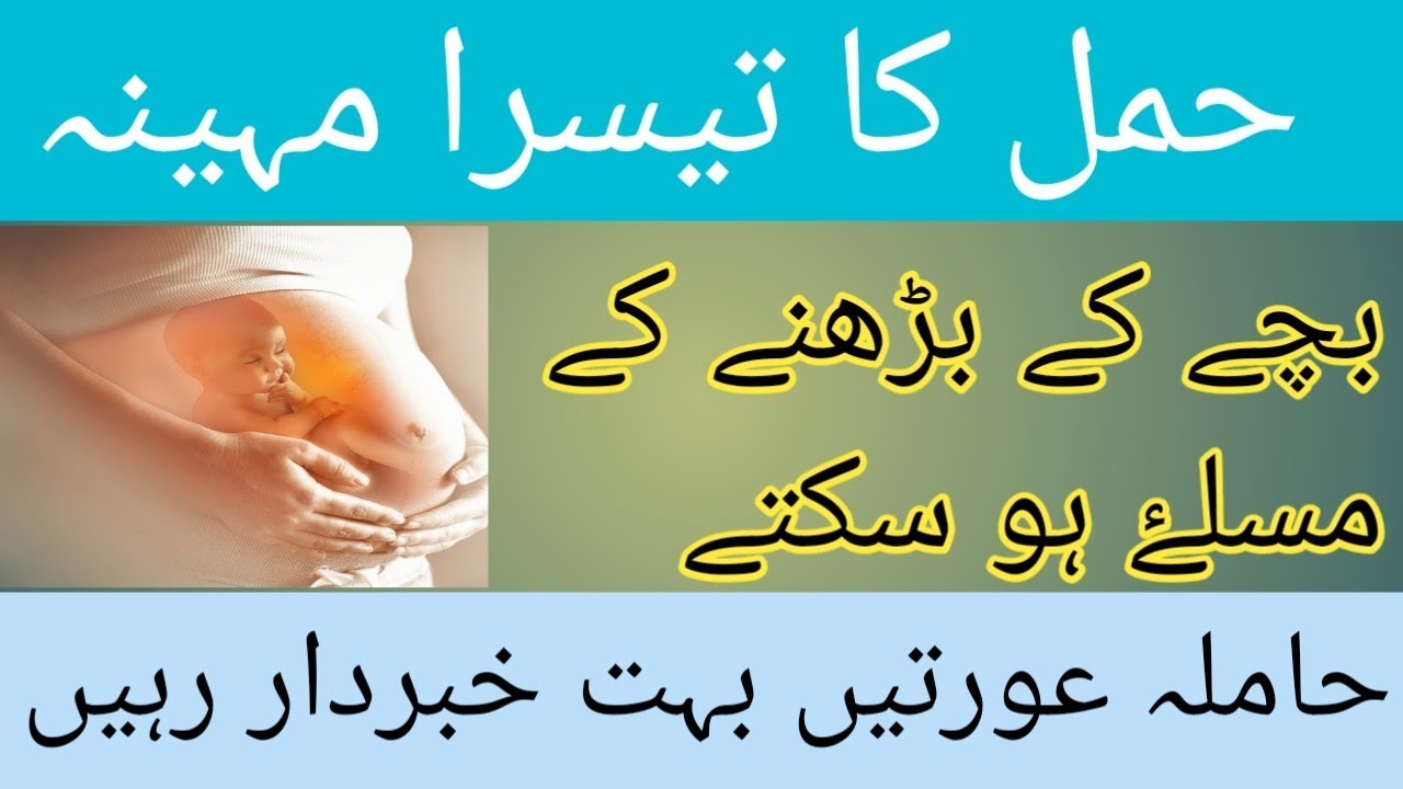 Third Month Of Pregnancy In Urdu / Hindi | Hamal Ka Teesra Mahina | 3rd ...