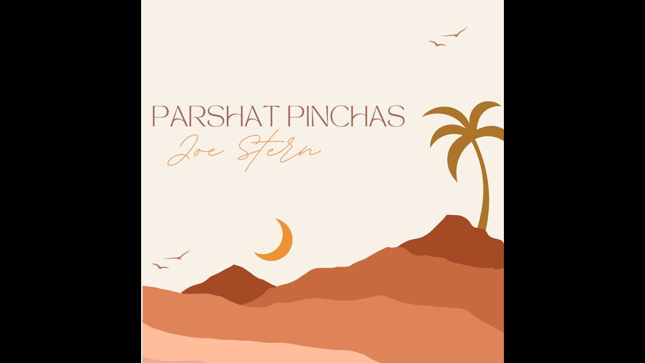 70 Faces of Torah: Pinchas - YouTube