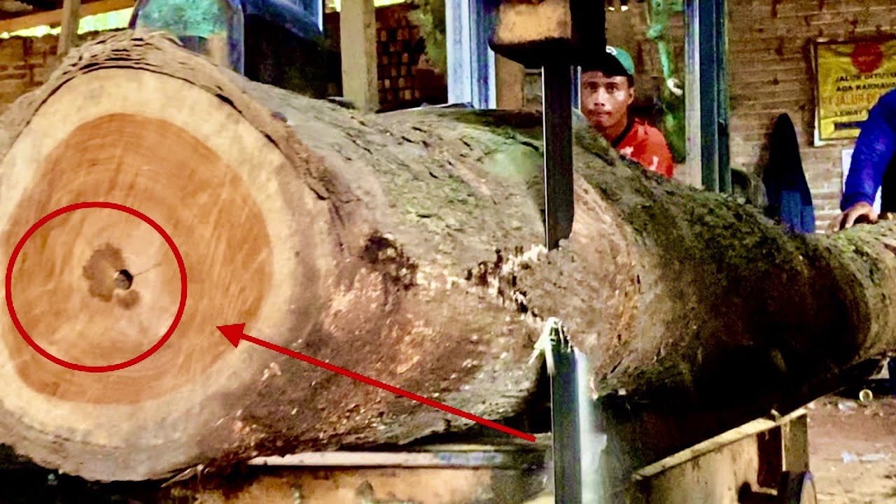 Super joss ! Monster kayu jati bagaikan berlian idola juragan kolektor ...