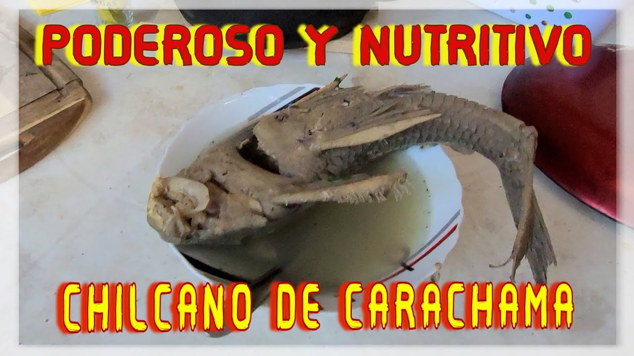 ¡CÓMO PREPARAR EL MEJOR Y NUTRITIVO CHILCANO DE CARACHAMA! - YouTube