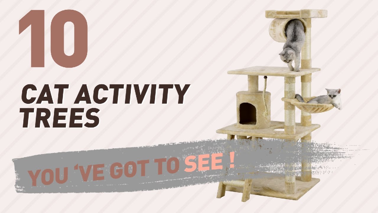 Top 10 Cat Activity Trees // Pets Lover Channel Presents: - YouTube