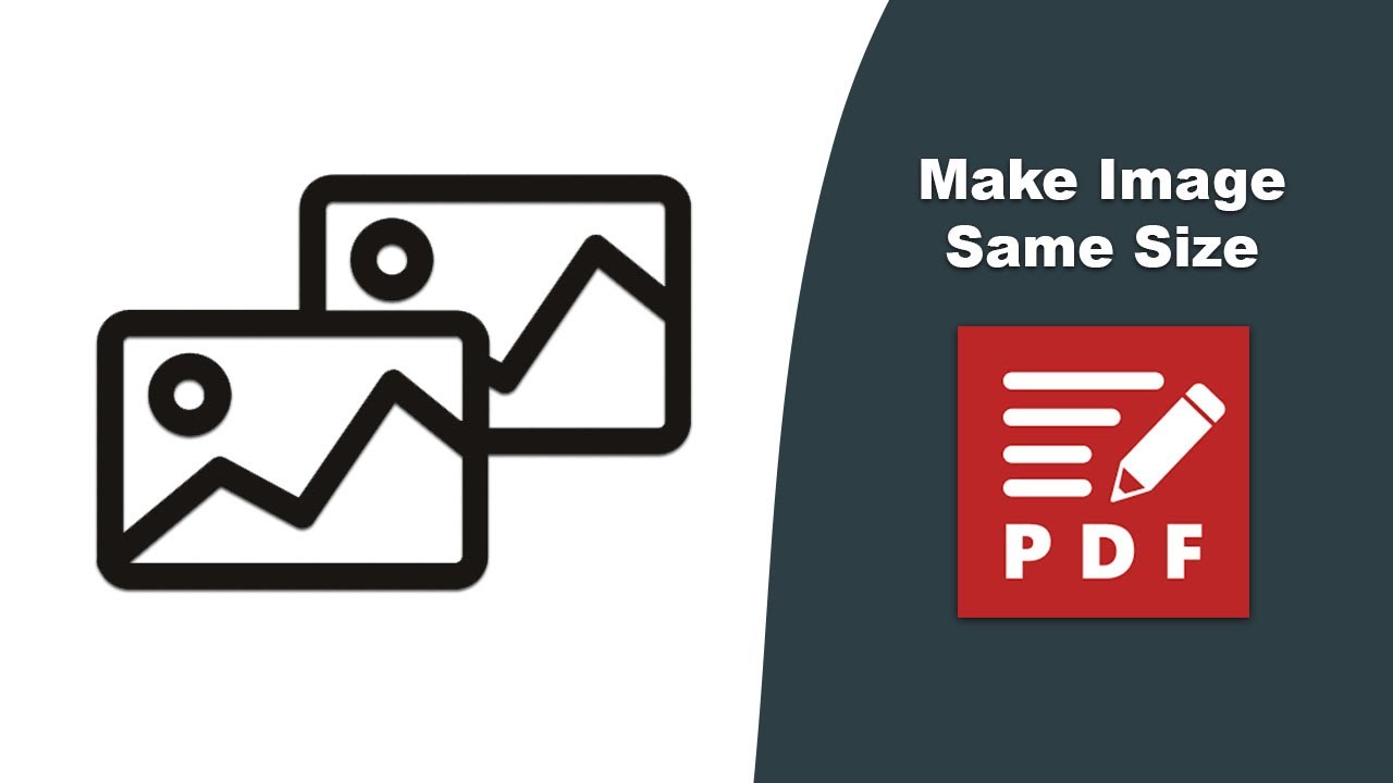 How to Resize Images to the Same Dimensions in a PDF Document in PDF ...