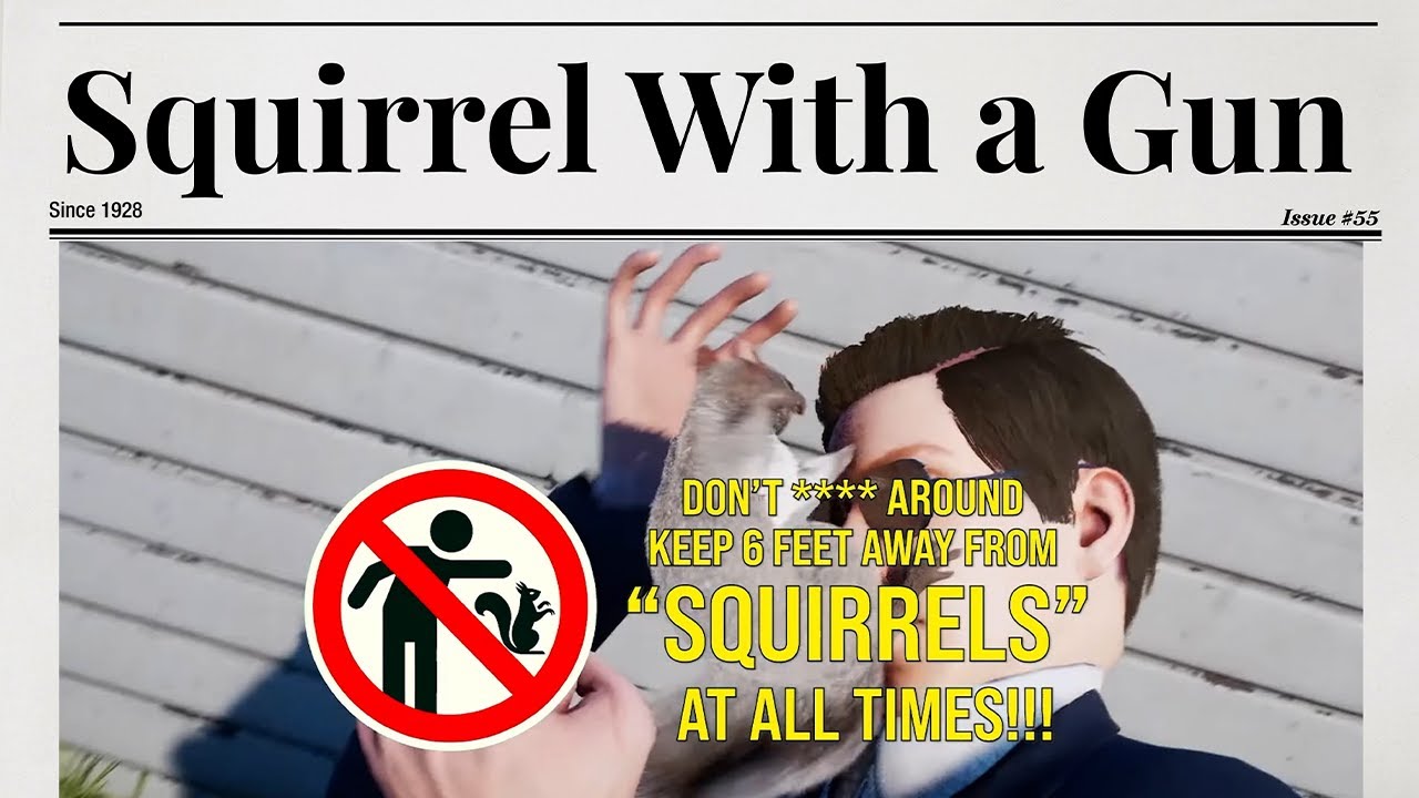 Squirrels, acorns, and guns! - YouTube