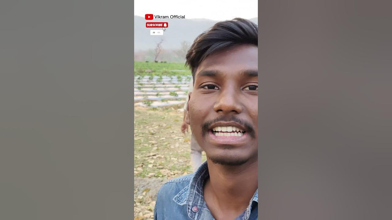 SANTALI MINI VLOG || STRAWBERRY FARM || Vikram Official #2025 #santalivideo #rairangpur - YouTube