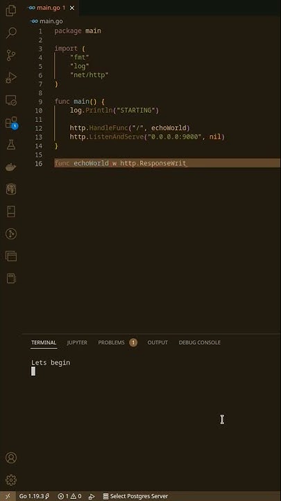 Golang Server Golang Golangtutorial Programmer Programming Youtube