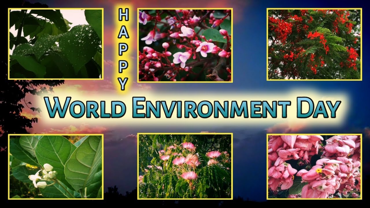 World Environment Day Special 2023 | Best Environment Video | Amazing ...