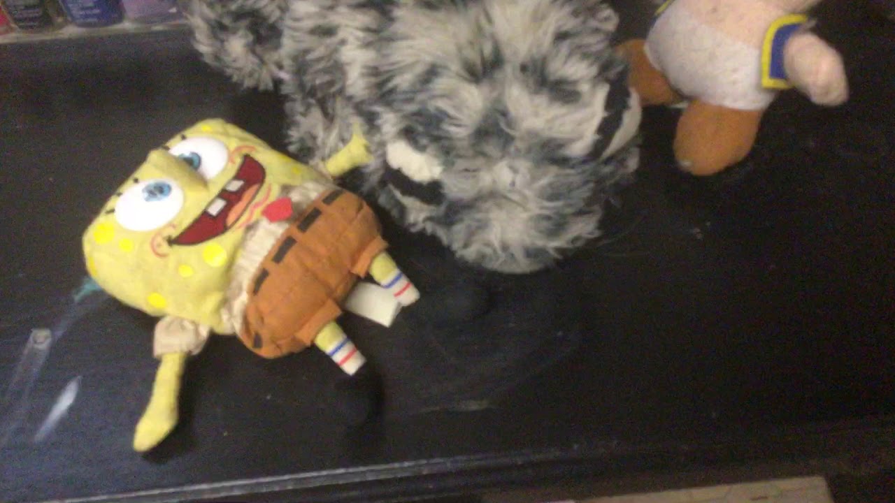 Sbg4: Brian and spongebob potty trained - YouTube