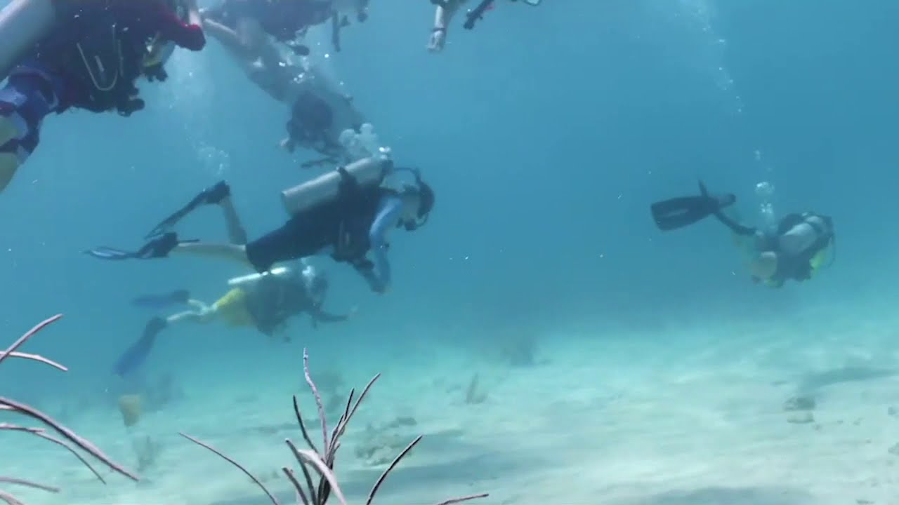 Sea Base Adventures Montage - YouTube