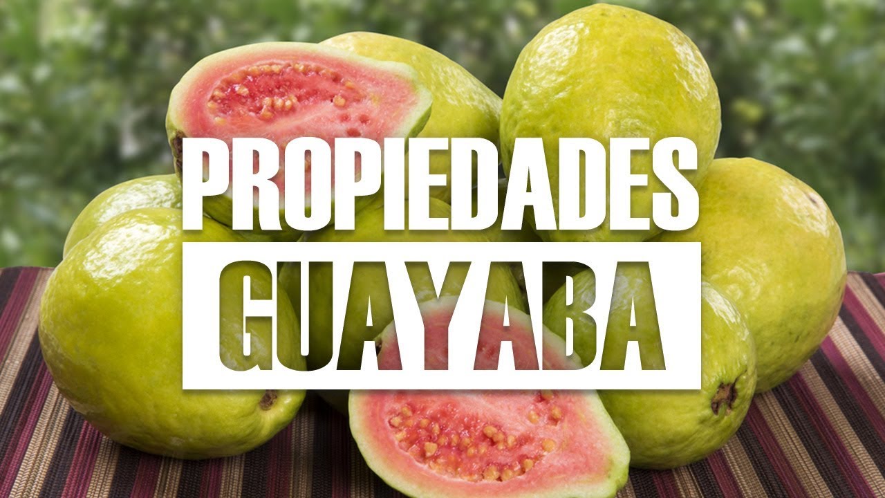 ¿Para Qué Sirve La GUAYABA? Beneficios y Propiedades Nutricionales ...
