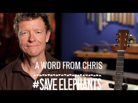 How A Major Guitar Company Is Leading The Battle Against Elephant ...