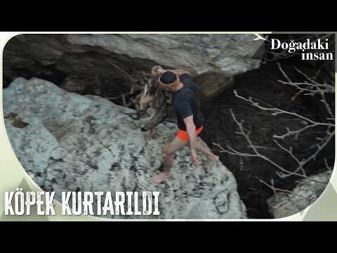 Serdar Kılıç ve ekibi, 25 metre derinde mahsur kalan köpeği kurtarıyor | Doğadaki İnsan 78. Bölüm