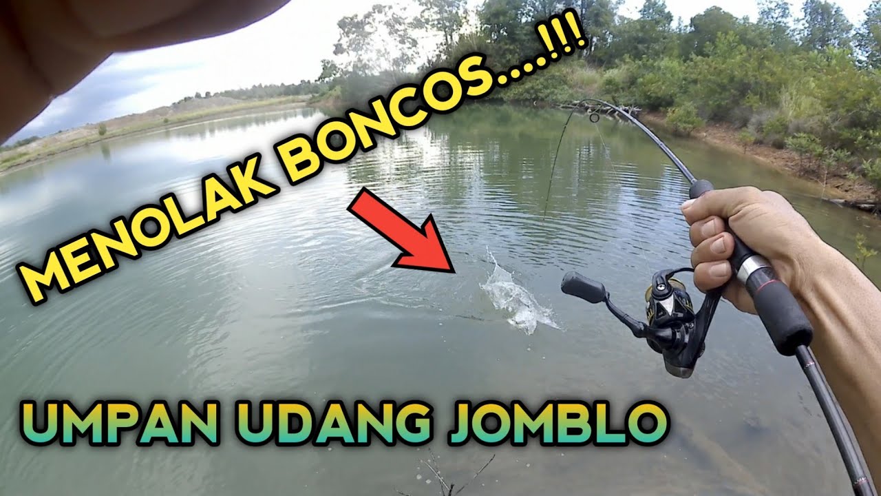 Tarikan Mantap Ikan Jenahak | Mancing Bareng Angler PPU - YouTube