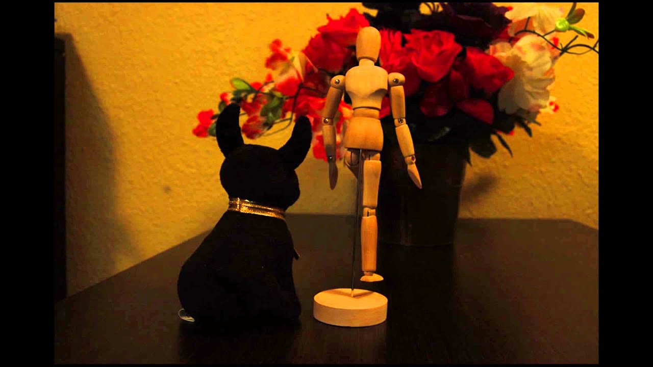 Stop Action Animation - YouTube