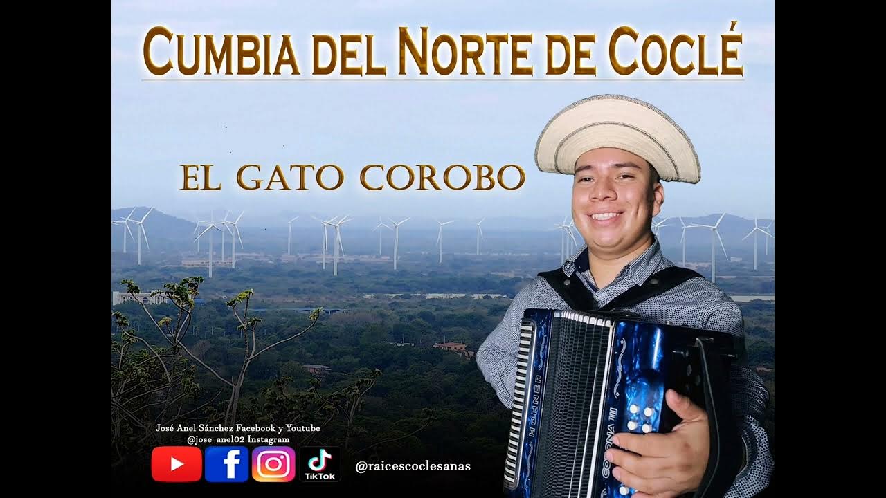 EL GATO COROBO - YouTube