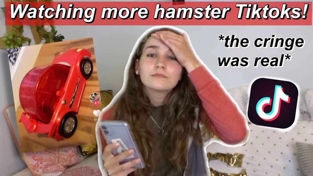 Reacting to Hamster TikToks Part 2! - YouTube