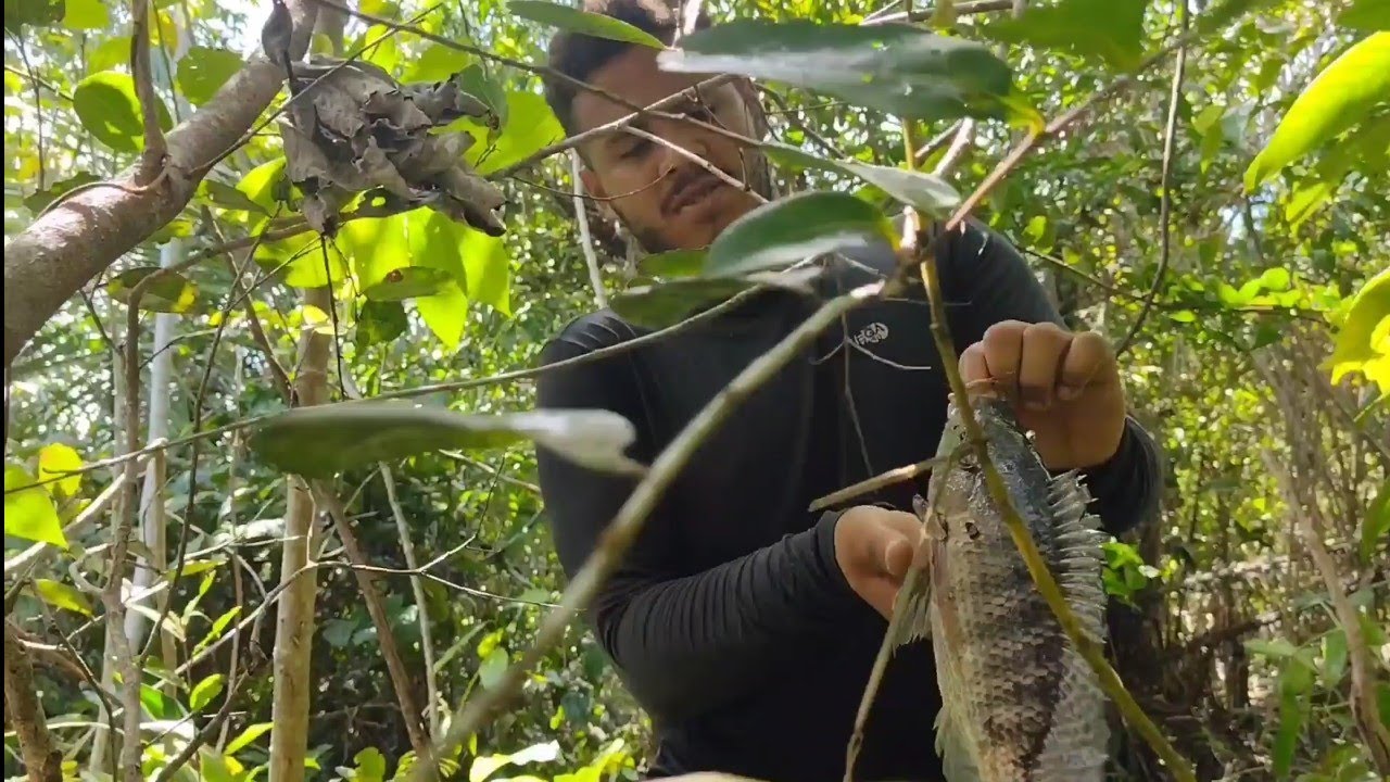 TILÁPIA NO GAPÓ. CAPTURA E PREPARO. UMA AVENTURA SOFRIDA. - YouTube
