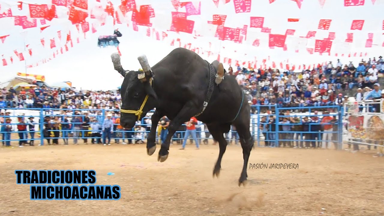 Orgullosamente Mexicanos los Toros de RANCHO REYES MALBORO EN SAN PEDRO ...
