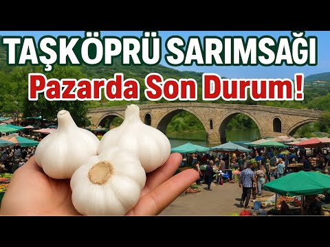 🧄 “Dünyaca Ünlü TAŞKÖPRÜ Sarımsağı Pazarda! Çiftçiler Ne Diyor?”