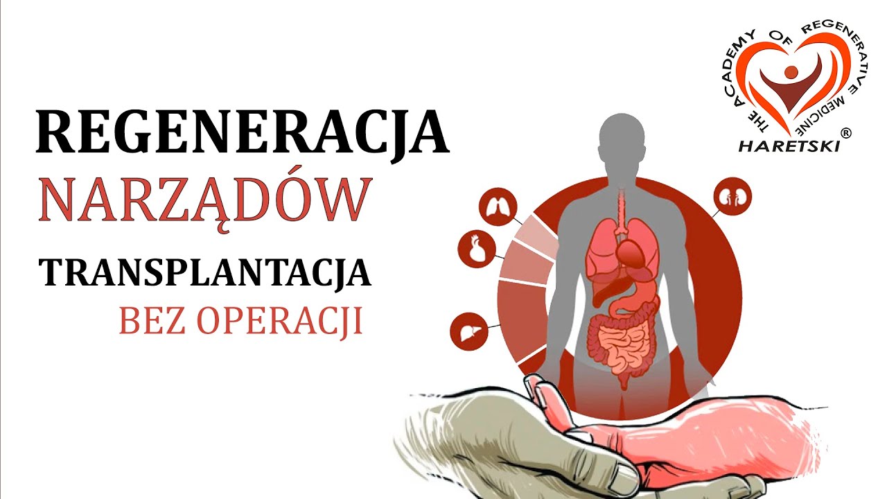 Regeneracja Narządów. Transplantacja Bez Operacji. Medycyna ...
